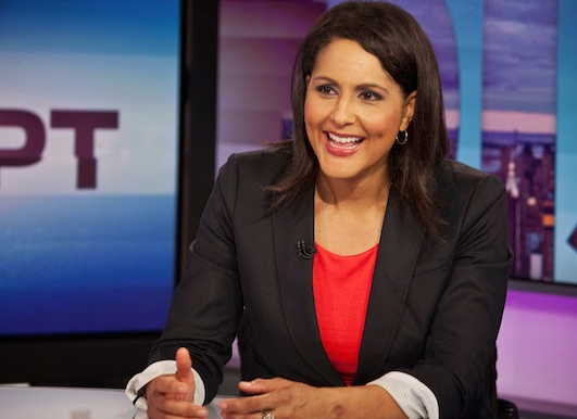 Karen Finney - Bio, Age, Facts, Wiki, Birthday, Net Worth, MSNBC ...